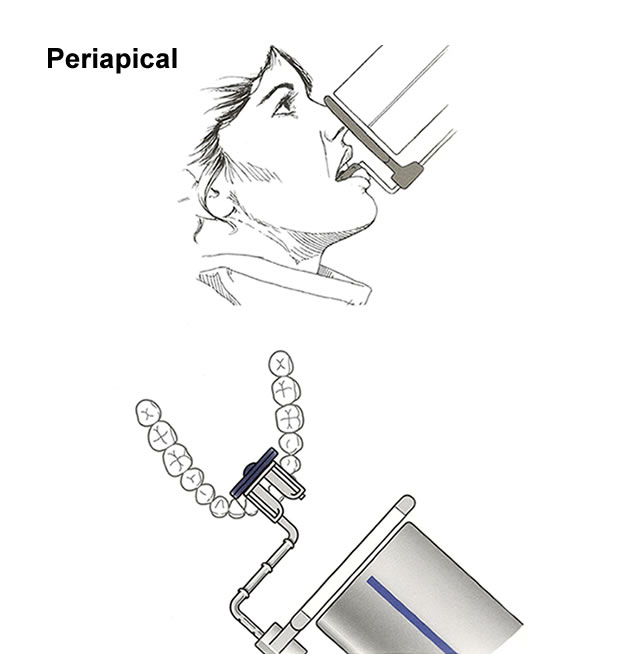 Index of /images/daily